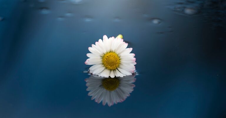 Grief and Chronic Illness: The Invisible Layers We Carry – life-fm.com.au